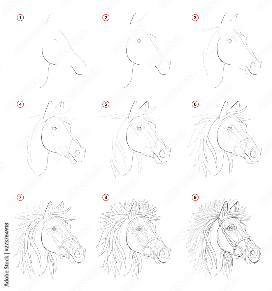 Creation step by step pencil drawing. Page shows how learn to draw ...