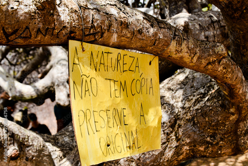 sign hanging from tree with preservation text "Nature has no copy ...