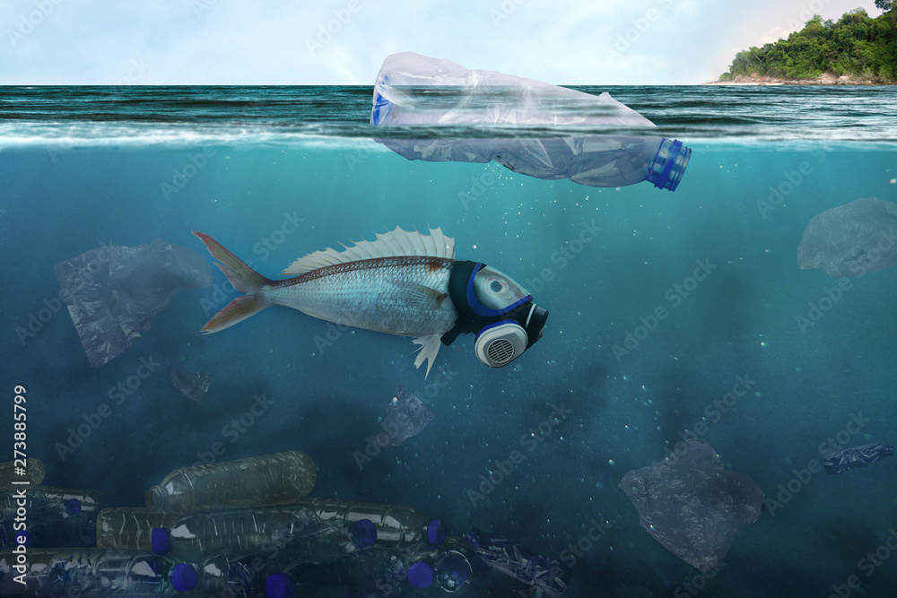 Plastic pollution impact in ocean, Fish wear poison mask to protect bad ...