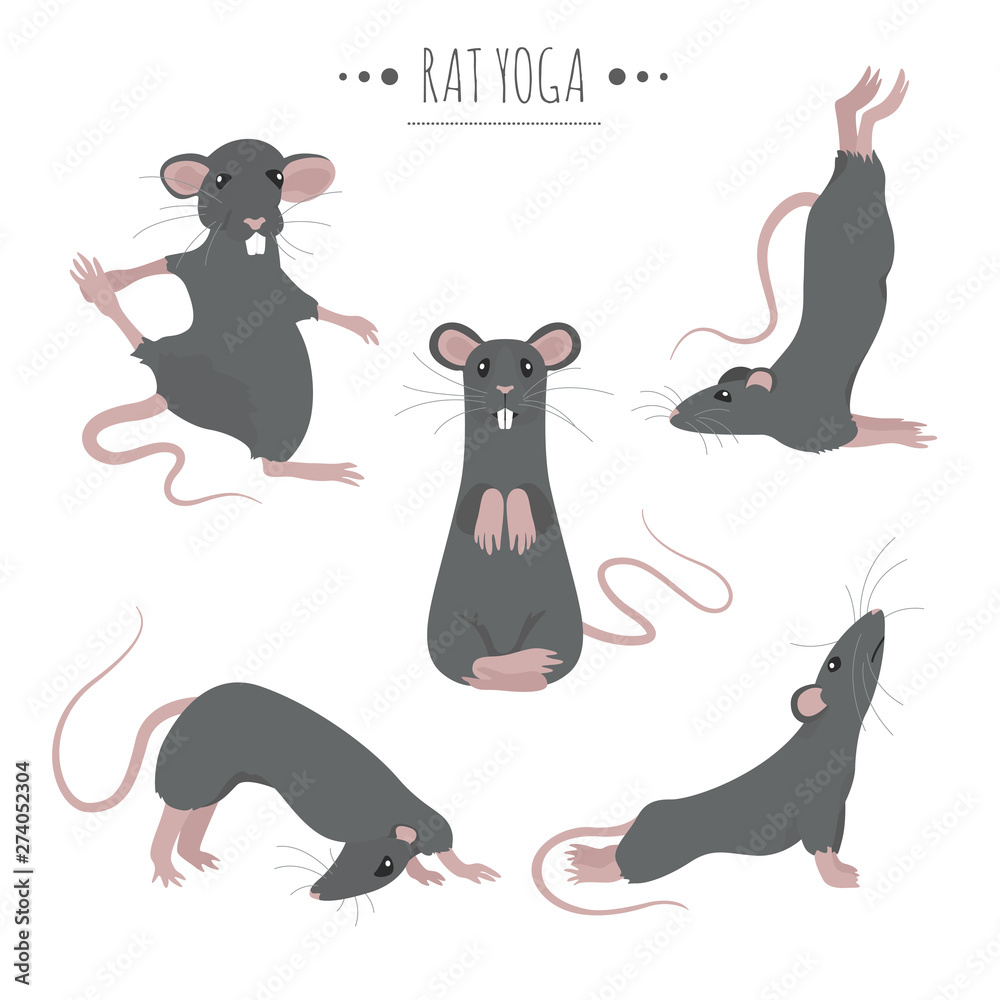 Rat yoga poses and exercises. Cute cartoon clipart set. Stock Vector ...