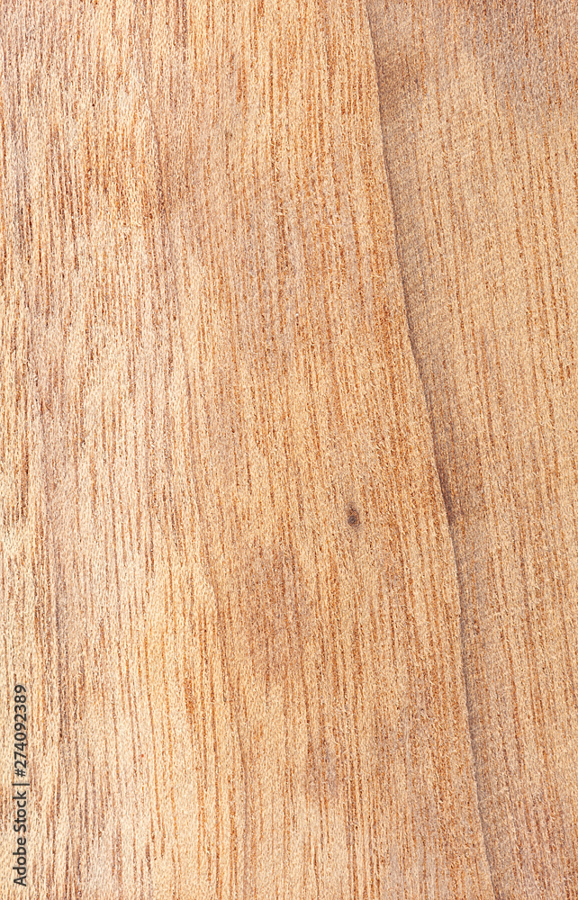 Phoebe zhennan or Chinese Nan tree wood Stock Photo | Adobe Stock