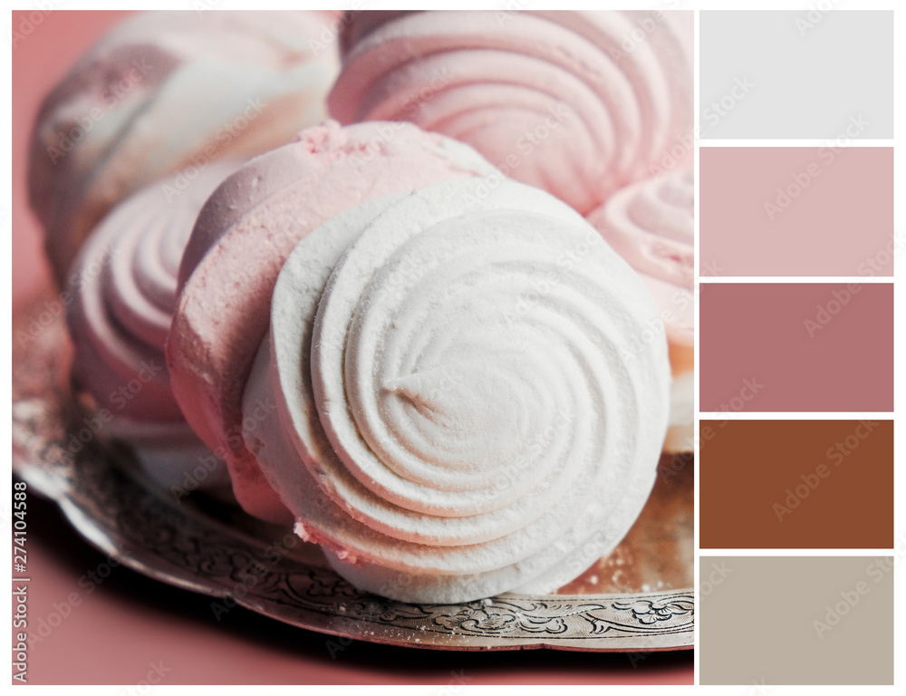 Pastel pink color palette. Zephyr color swatch. Stock Photo | Adobe Stock
