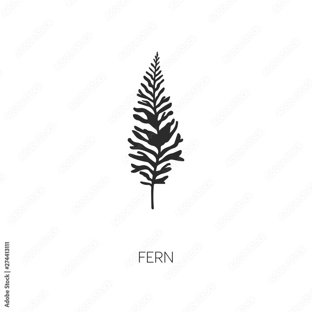Fern icon. fern vector symbol. Linear style sign for mobile concept and ...
