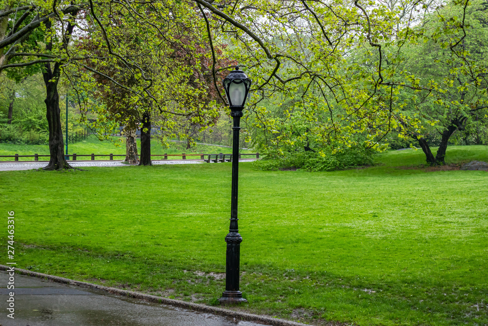 Raining in Central Park, New York city. Spring fresh tree foliage and ...