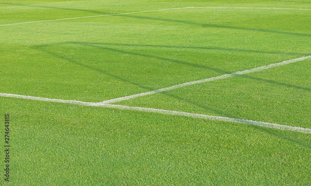 Empty football soccer field with white marks, green grass texture ...