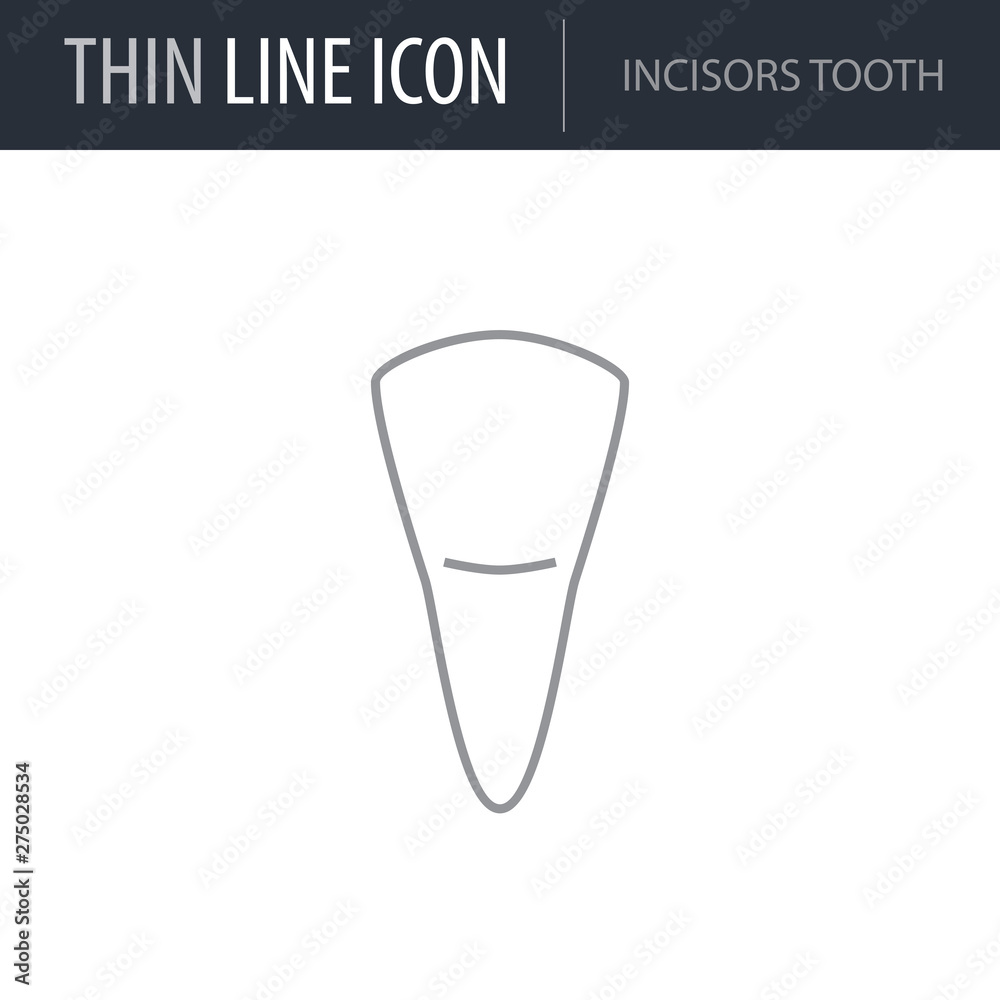 Symbol of Incisors Tooth. Thin line Icon of Dentist Tools. Stroke ...