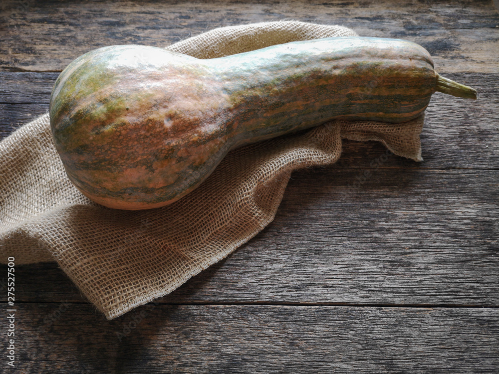 Stunning Long Neck Pumpkin Photos