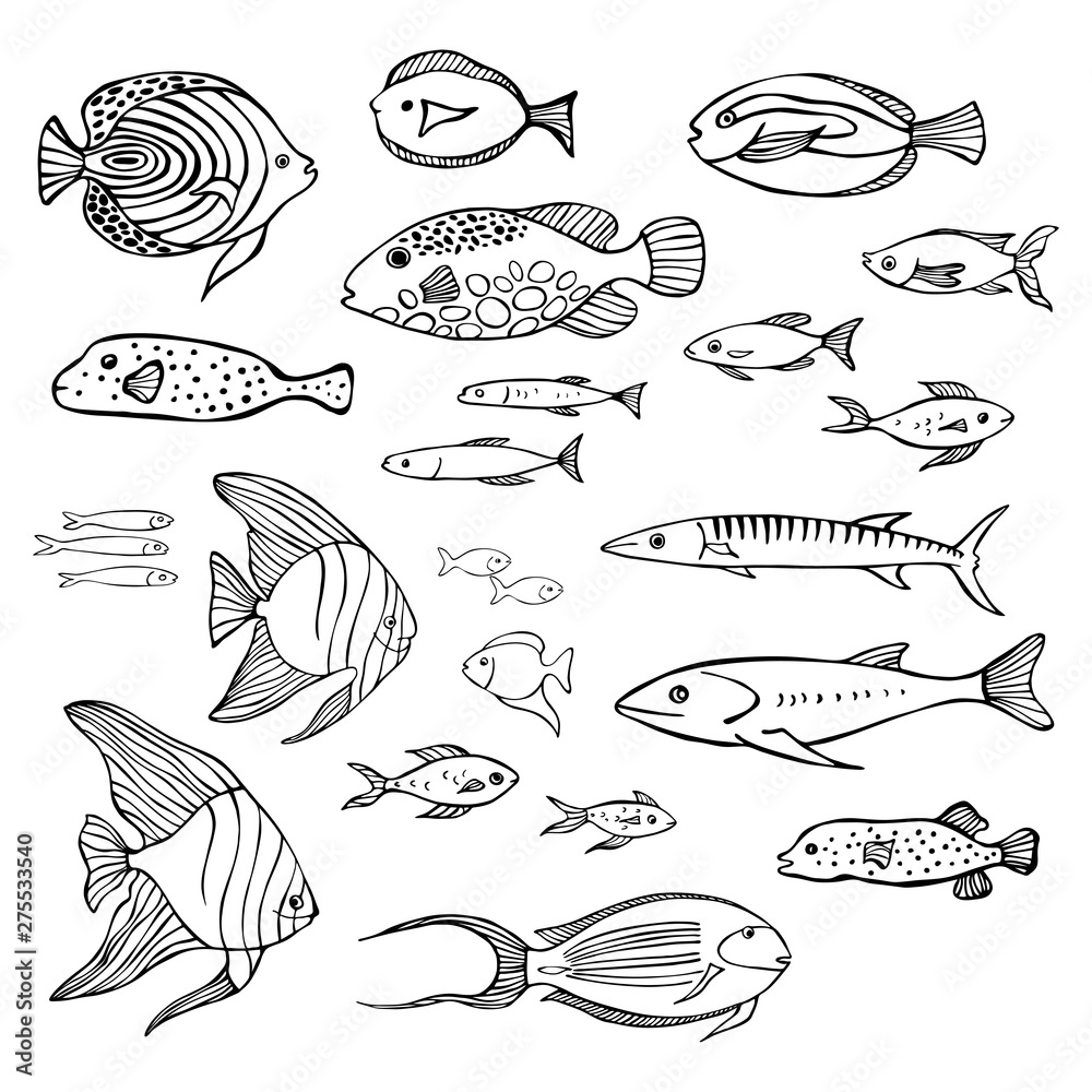 Hand drawn sea fish. Vector sketch illustration. Stock Vector | Adobe Stock