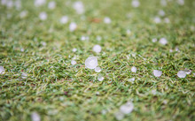 Sheet Of Hail Free Stock Photo - Public Domain Pictures