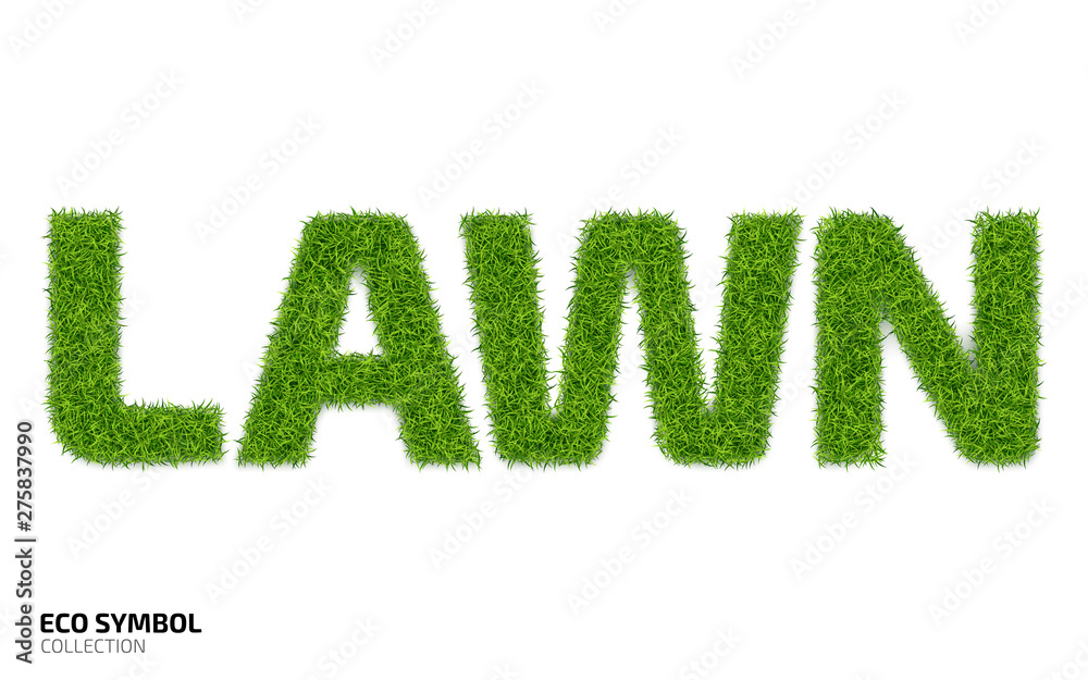 The word LAWN from green grass isolated on a white background. Letters ...