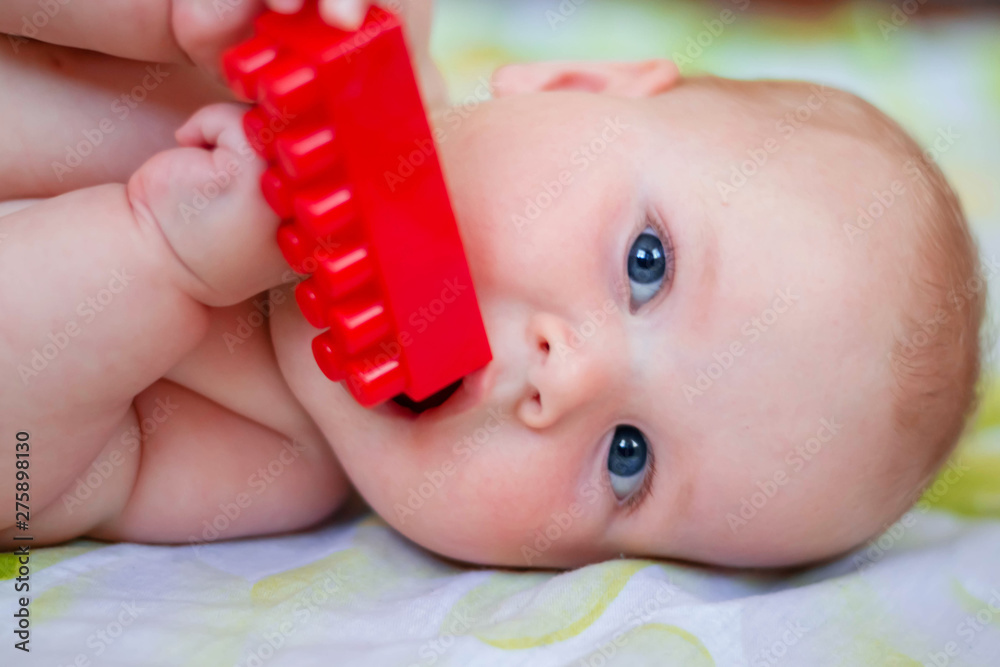 The baby is playing with a red plastic toy. Face closeup. Baby nibbles ...