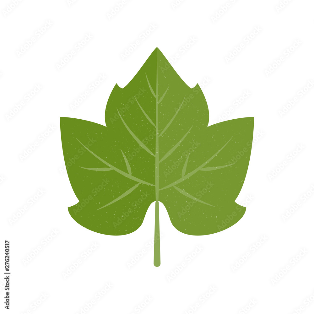 Green vector grape leaf in flat style Stock Vector | Adobe Stock