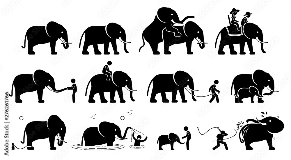 Human and elephant pictograms icons. Illustrations depict relationship ...