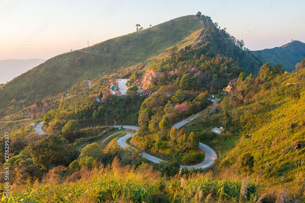 Beautiful landscape of Doi Pha Tang in Chiang Rai province of Thailand ...