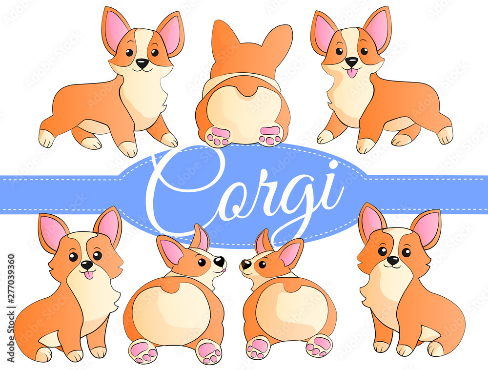 Corgi with different poses in cartoon style collection. Set of funny ...
