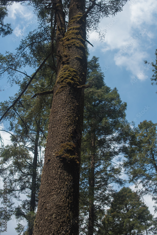 Stockfotot La Marquesa National Park, with the official name "Parque ...