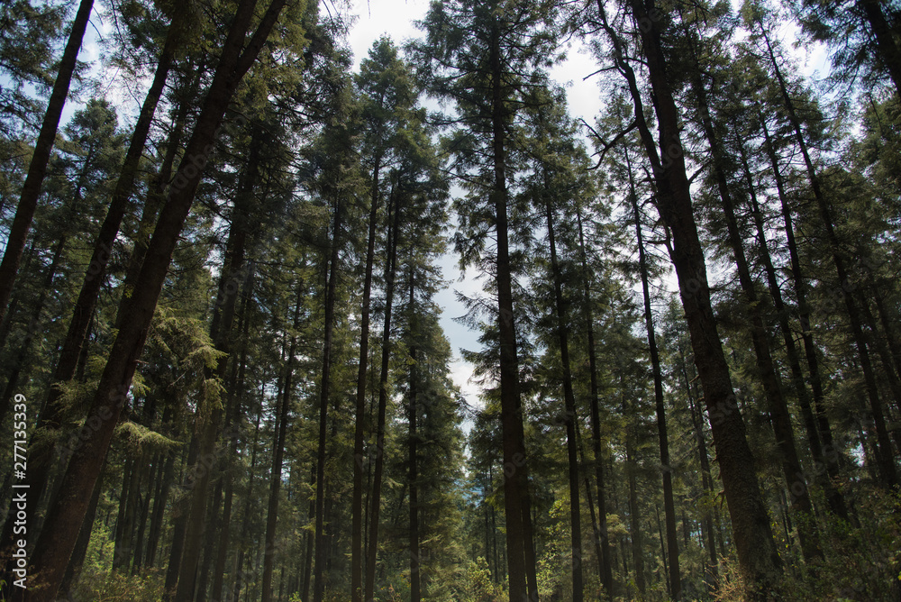 Foto de Stock La Marquesa National Park, with the official name "Parque ...
