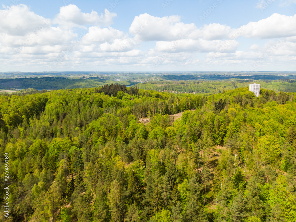 Rezerwat Przyrody Wieżyca kaszubski park krajobrazowy kaszuby widok las ...