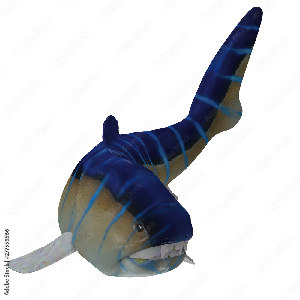Dunkleosteus Fish Tail - Dunkleosteus was a carnivorous placoderm fish ...