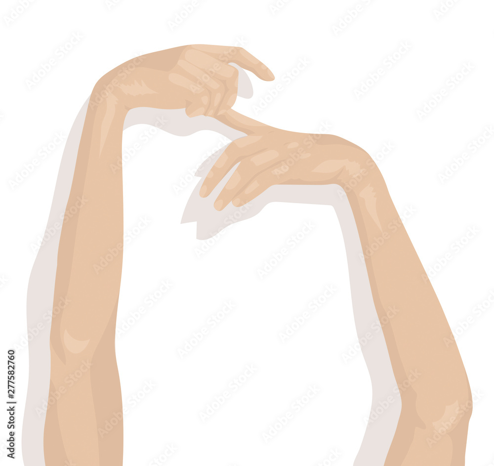 manos y brazos del cuerpo humano Stock Illustration | Adobe Stock
