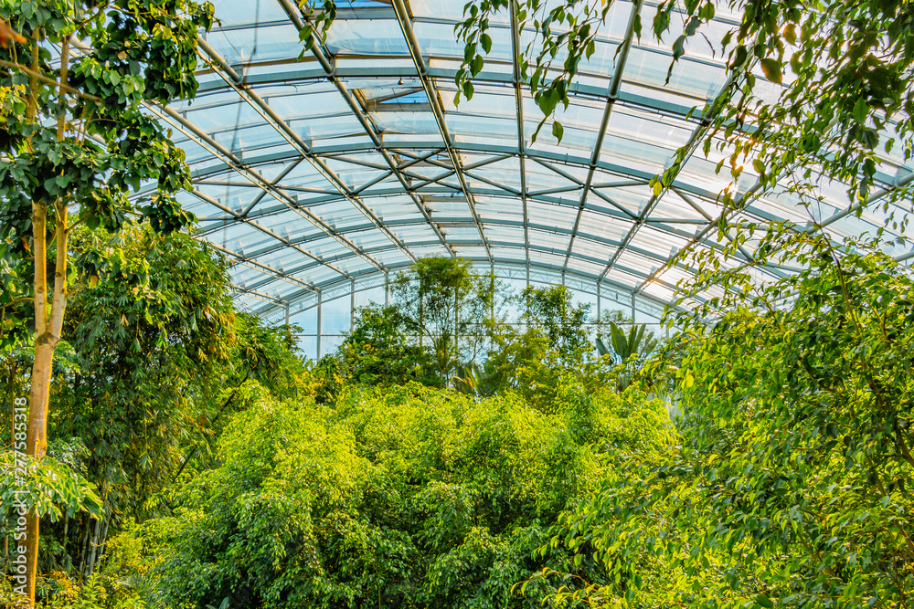 The Masoala Hall of the Zoo Zurich in Switzerland with a huge indor ...