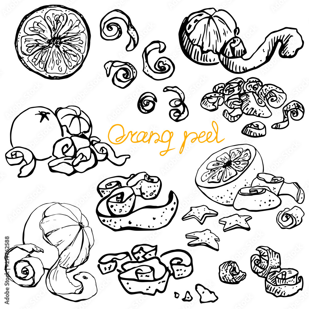 Orange Peel Line Drawing