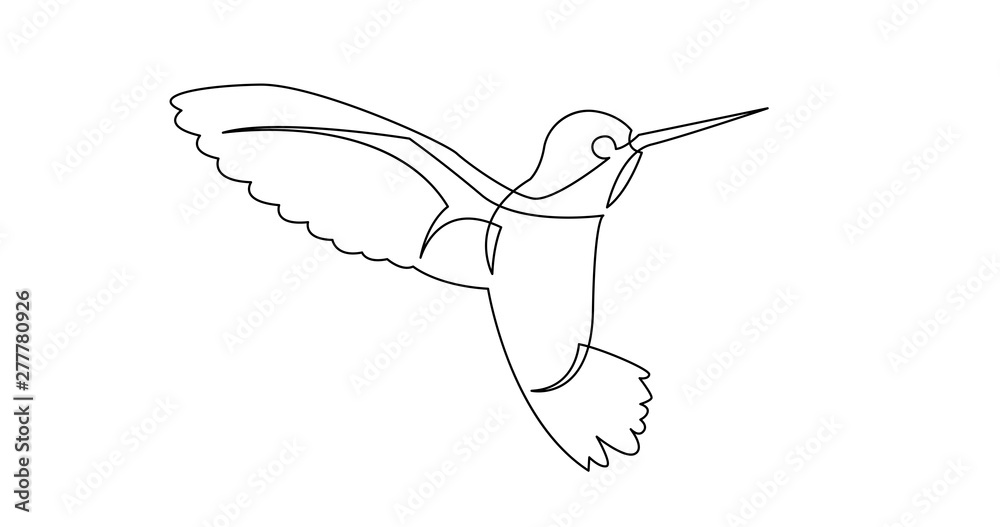 continuous line drawing of beautiful colibri birg flying Stock Vector ...