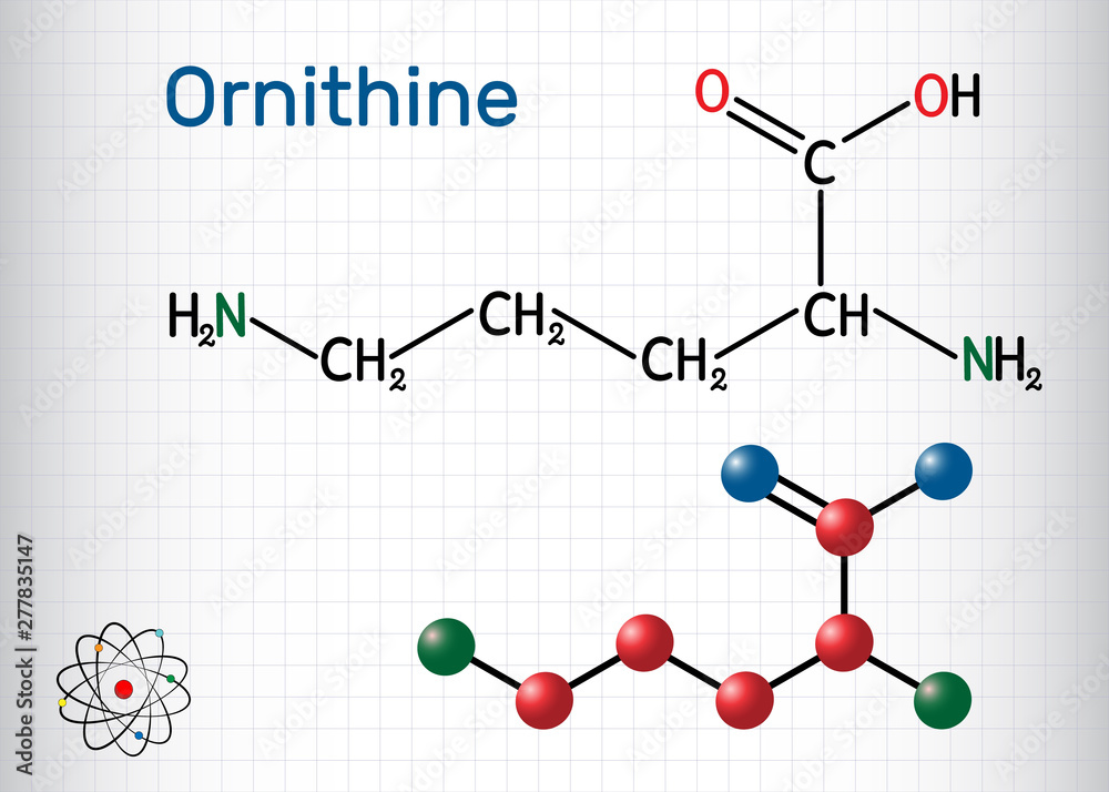 Ornithine non-proteinogenic amino acid molecule, is used in the urea ...