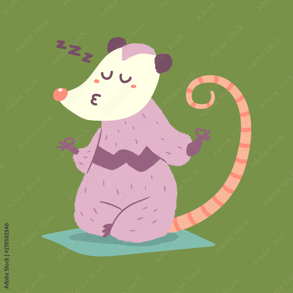 Cute possum in yoga lotus pose vector cartoon character isolated on ...
