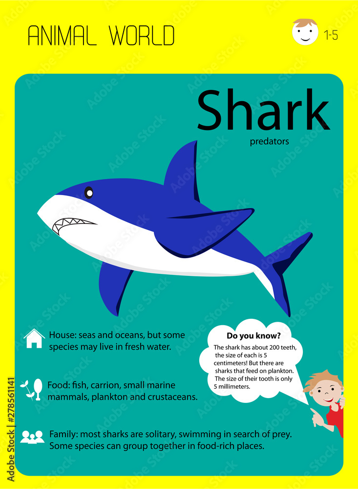 Shark. educational flash cards for children, kindergarten, child center ...