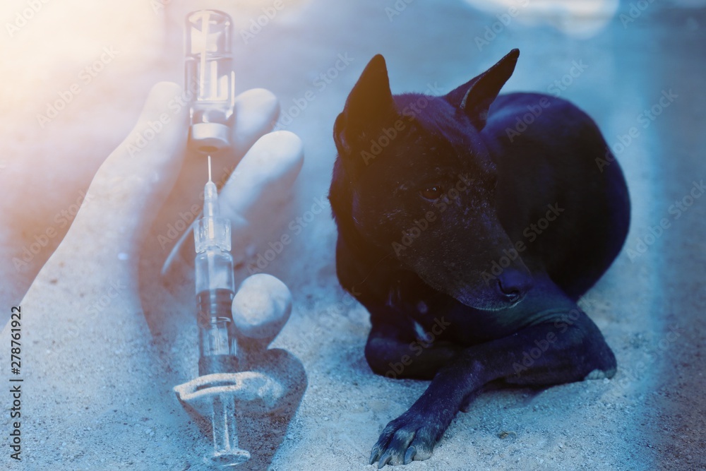Foto de Stock Vaccine Rabies Bottle and Syringe Needle Hypodermic ...