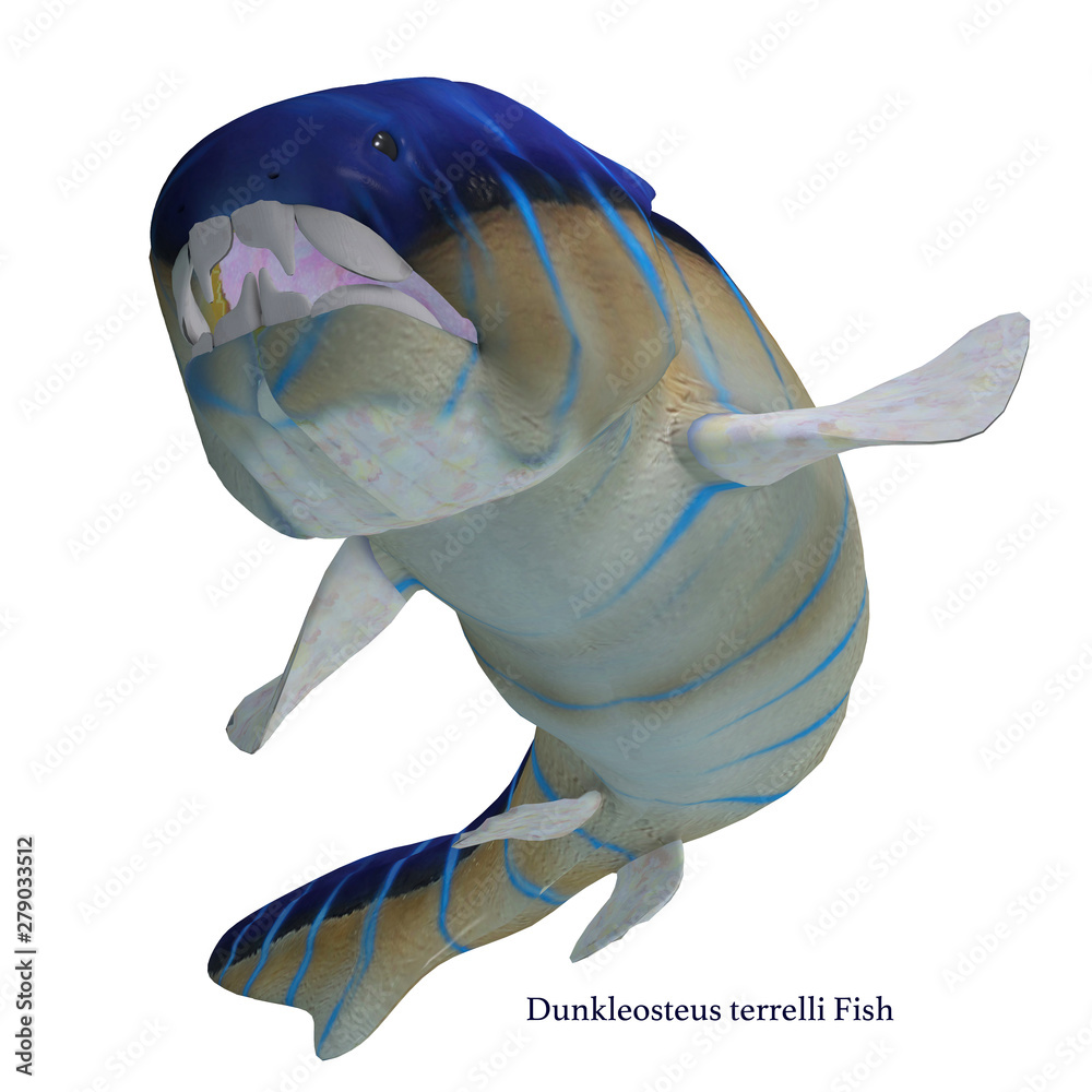 Dunkleosteus Fish Teeth with Font - Dunkleosteus was a carnivorous ...