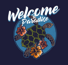 Summer Surfing Turtle Poster Free Stock Photo - Public Domain Pictures