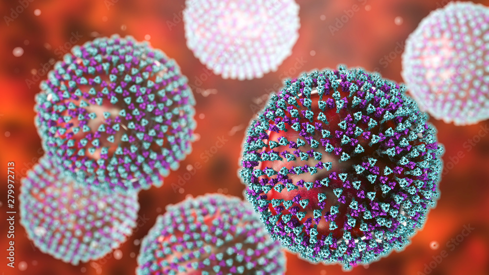 Measles viruses. 3D illustration showing structure of measles virus ...