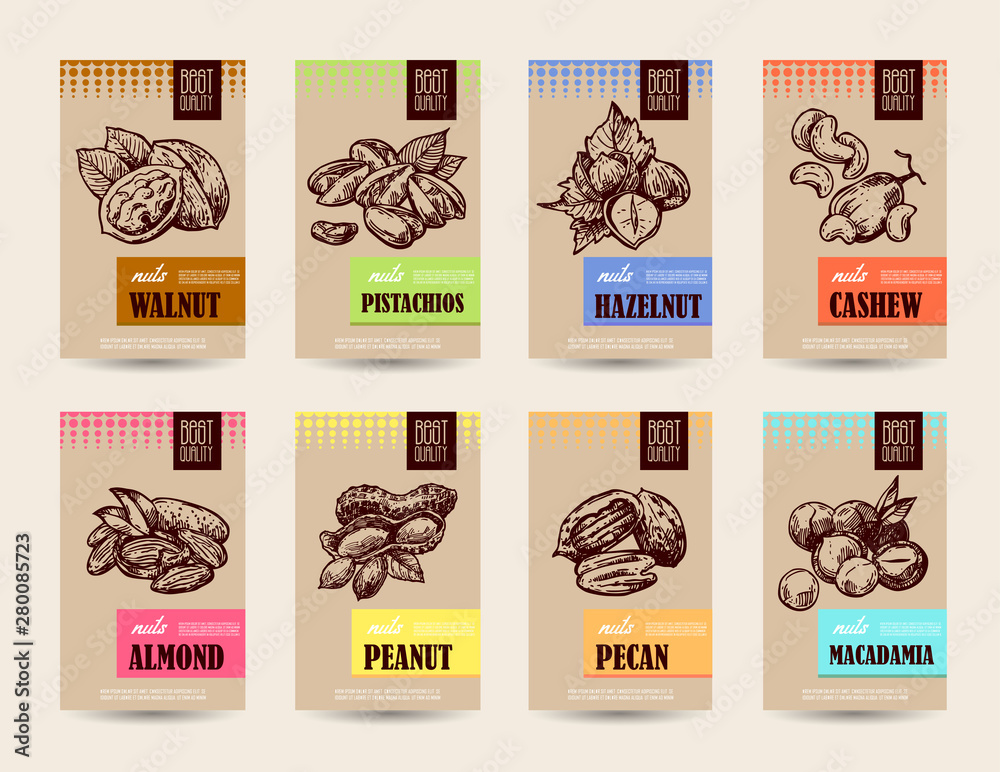 Nuts set sketch style food illustrations. Hand drawn beautiful pictures ...