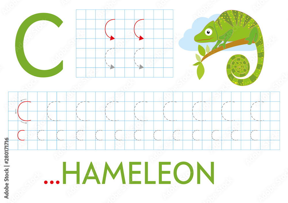 Worksheet for kids with letter “C”. For study English alphabet ...