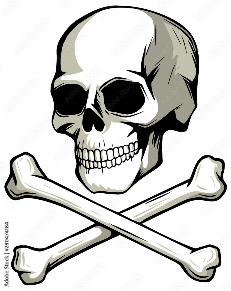 Human skull and crossed bones, vector image. Stock Vector | Adobe Stock
