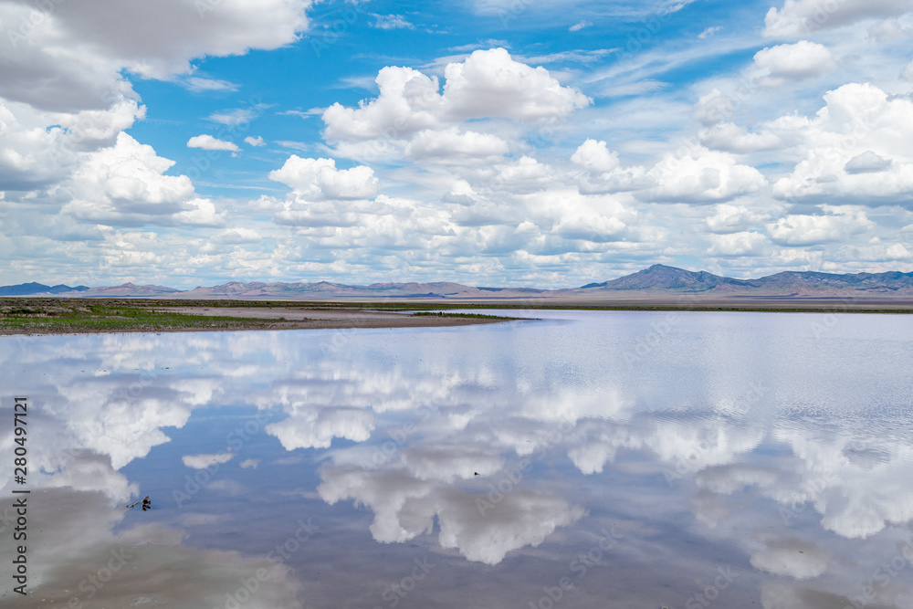 USA, Nevada, Lincoln County, Basin and Range National Monument. A ...