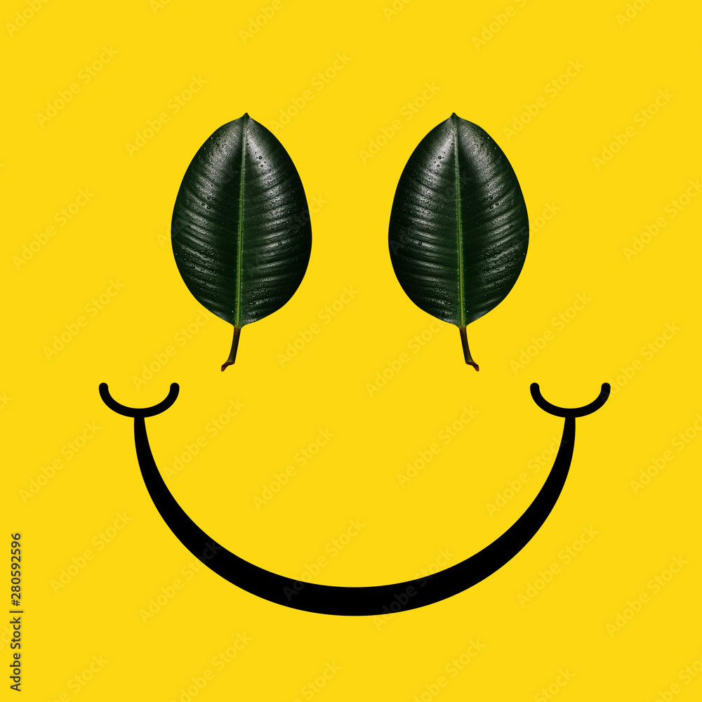 Nature's smile. Green leaves as an eyes, emotions of happiness on ...
