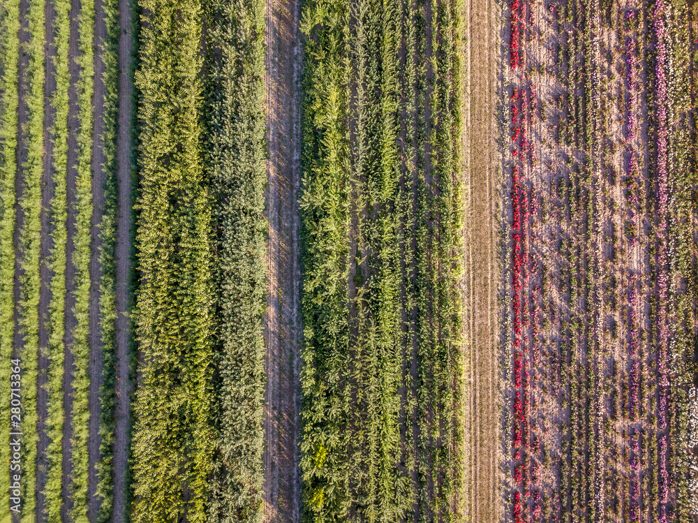 Aerial drone image of fields with diverse crop growth based on ...