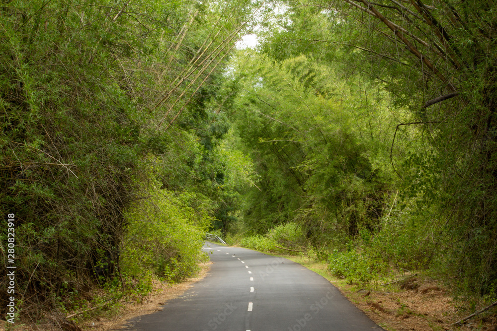 Beautiful Ghat road along the mountain range of Talamalai Reserve ...