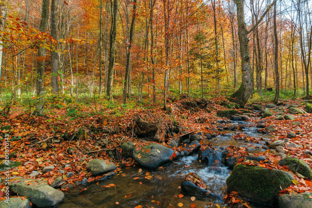 brook among the rock in autumn forest. fallen foliage on the ground ...