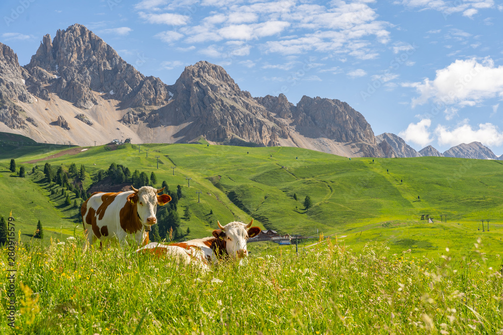 Idyllic landscape with animal on pasture field Stock Photo | Adobe Stock