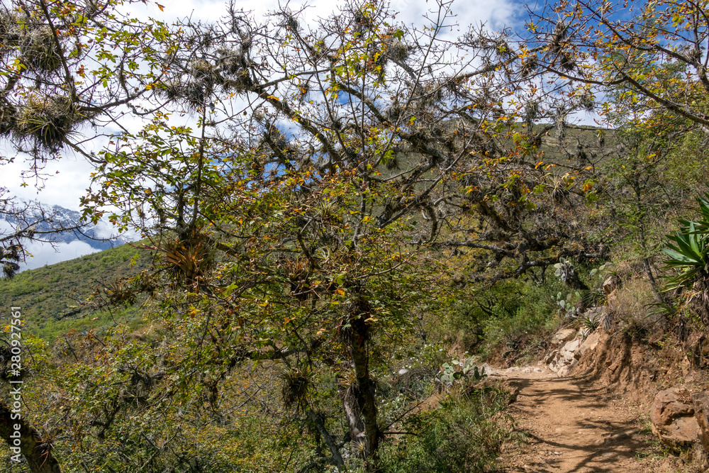 Hiking path at high altitude Peruvian mountains, the Choquequirao trek ...