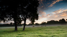Sunset In Oklahoma Countryside Free Stock Photo - Public Domain Pictures