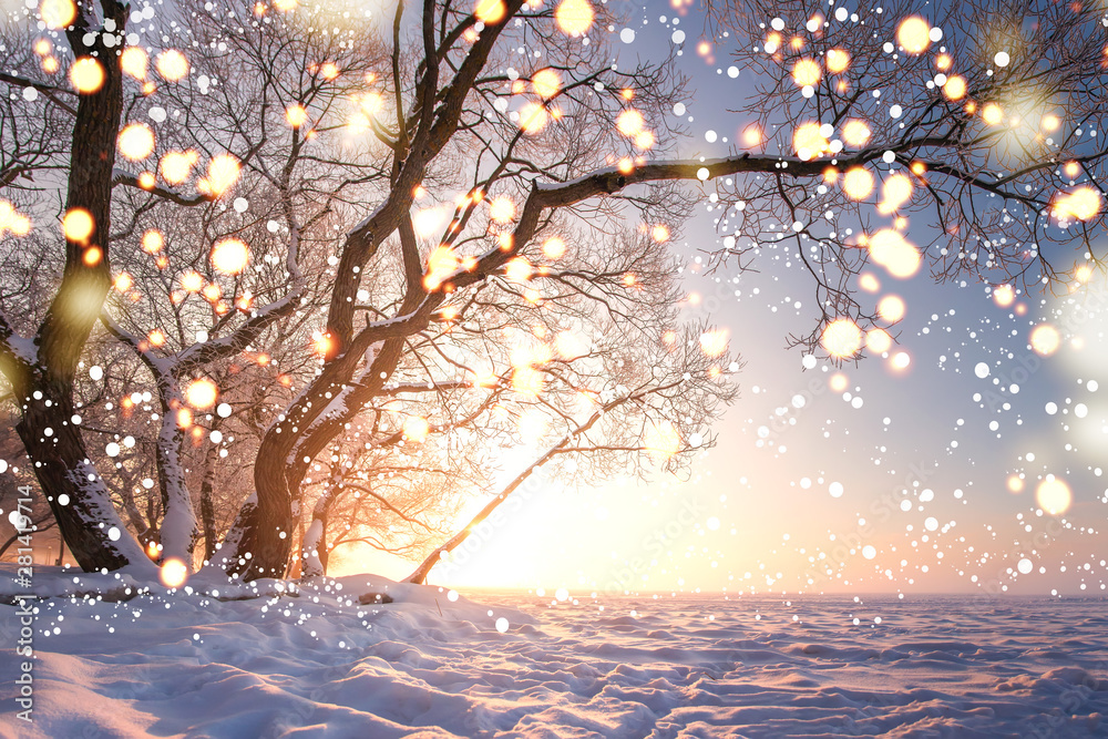 Beautiful Christmas Landscape