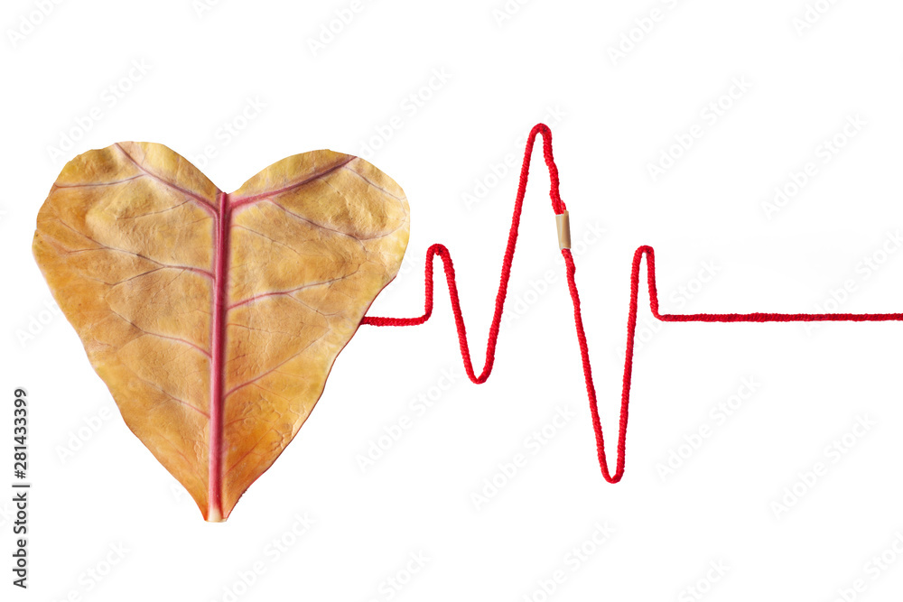 medical concept photo of heart with red yarn thread like ECG pattern ...