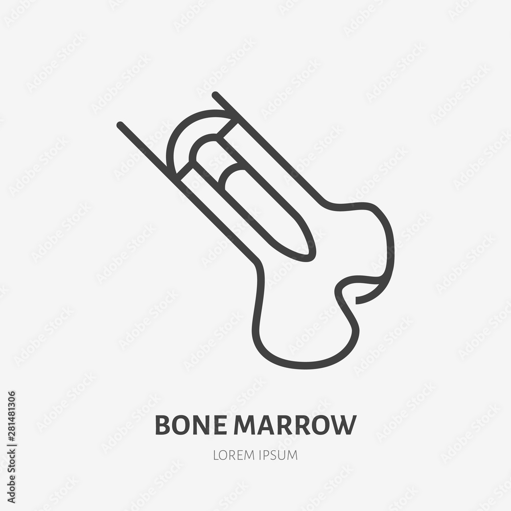 Bone marrow flat line icon. Vector thin pictogram of human skeleton ...
