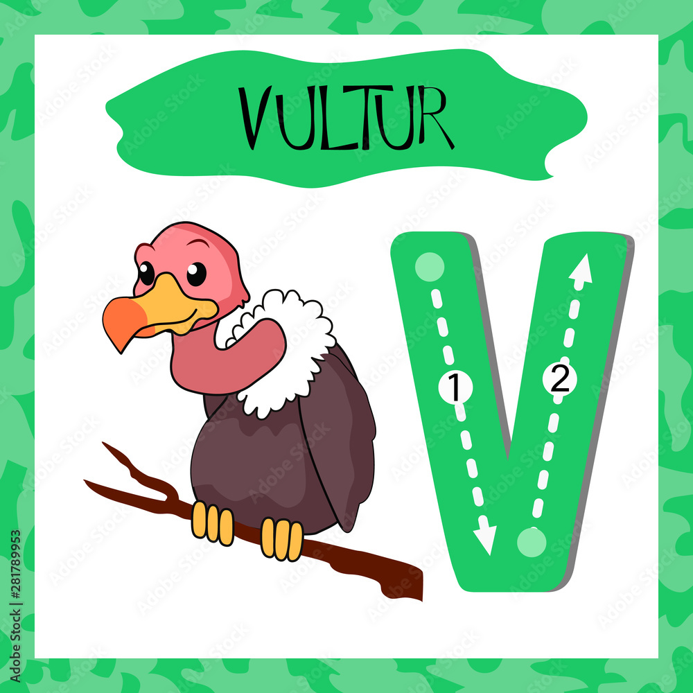 Letter V uppercase cute children colorful zoo and animals ABC alphabet ...