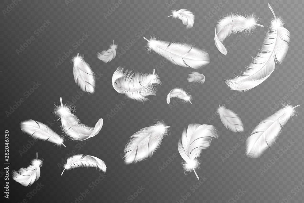 Angel Wing Feathers Falling